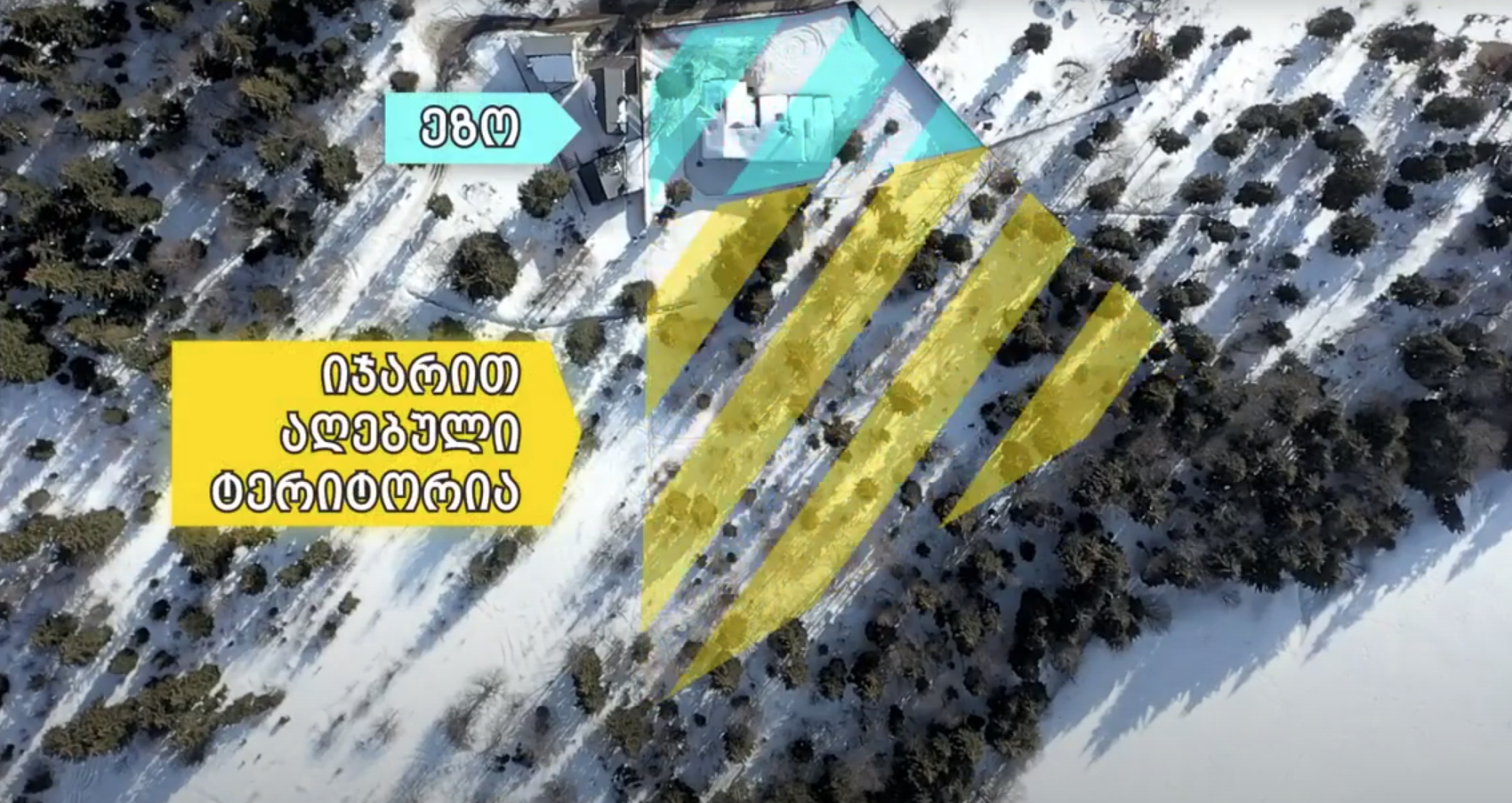 პრემიერის ოჯახმა ბაკურიანში მიწა იჯარით აუქციონზე მოიპოვა: მთავრობის ...