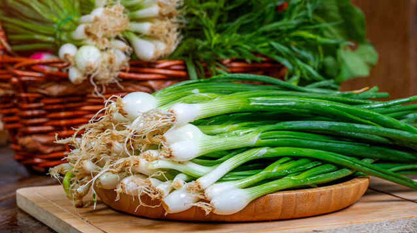 სასარგებლო ნივთიერებათა ნამდვილი საგანძური - რადიო ფორტუნა / Fortuna.ge